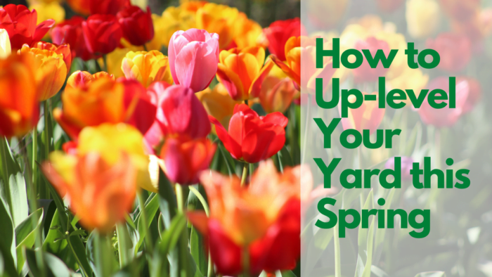 How to Up-Level Your Yard This Spring - Easton Outdoors