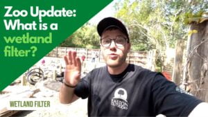 All About Wetland Filters - Easton Outdoors