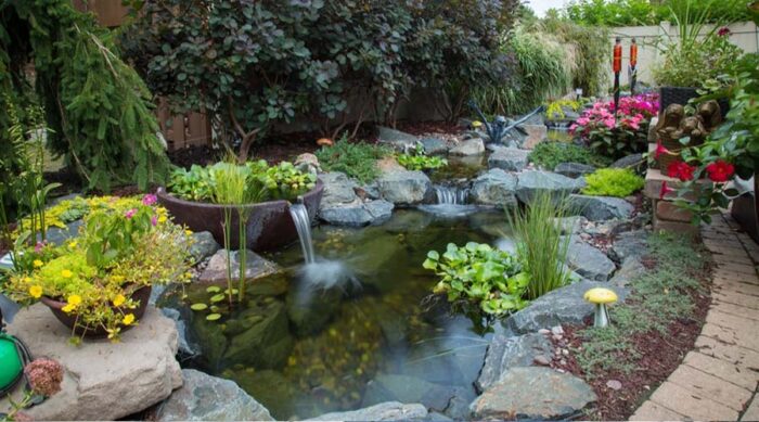 Water Feature Guide | Pond Installation and Cost Calculator