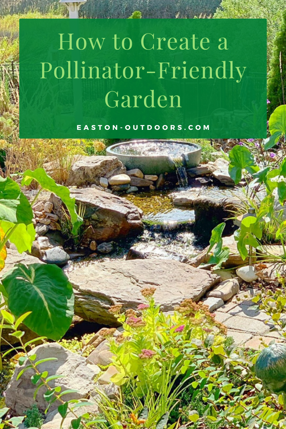 Creating a Pollinator-Friendly Garden: 5 Tips You Need to Know - Easton ...