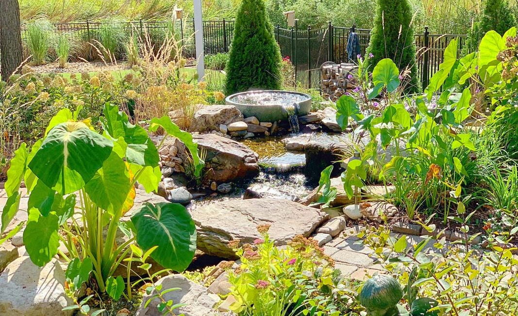 Water Feature Guide | Pond Installation and Cost Calculator
