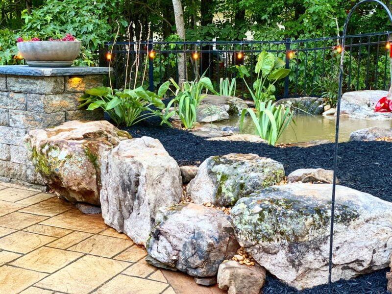 Pond Maintenance Guide | Pond Repair & Cleaning