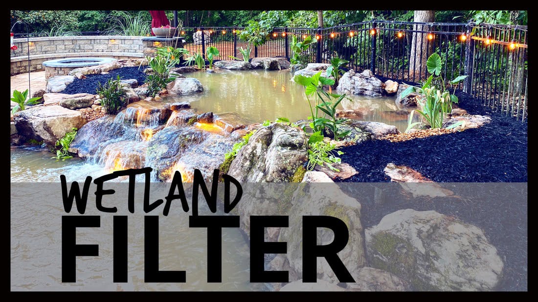 What is a Wetland Filter? | Water Feature & Koi Pond Filter
