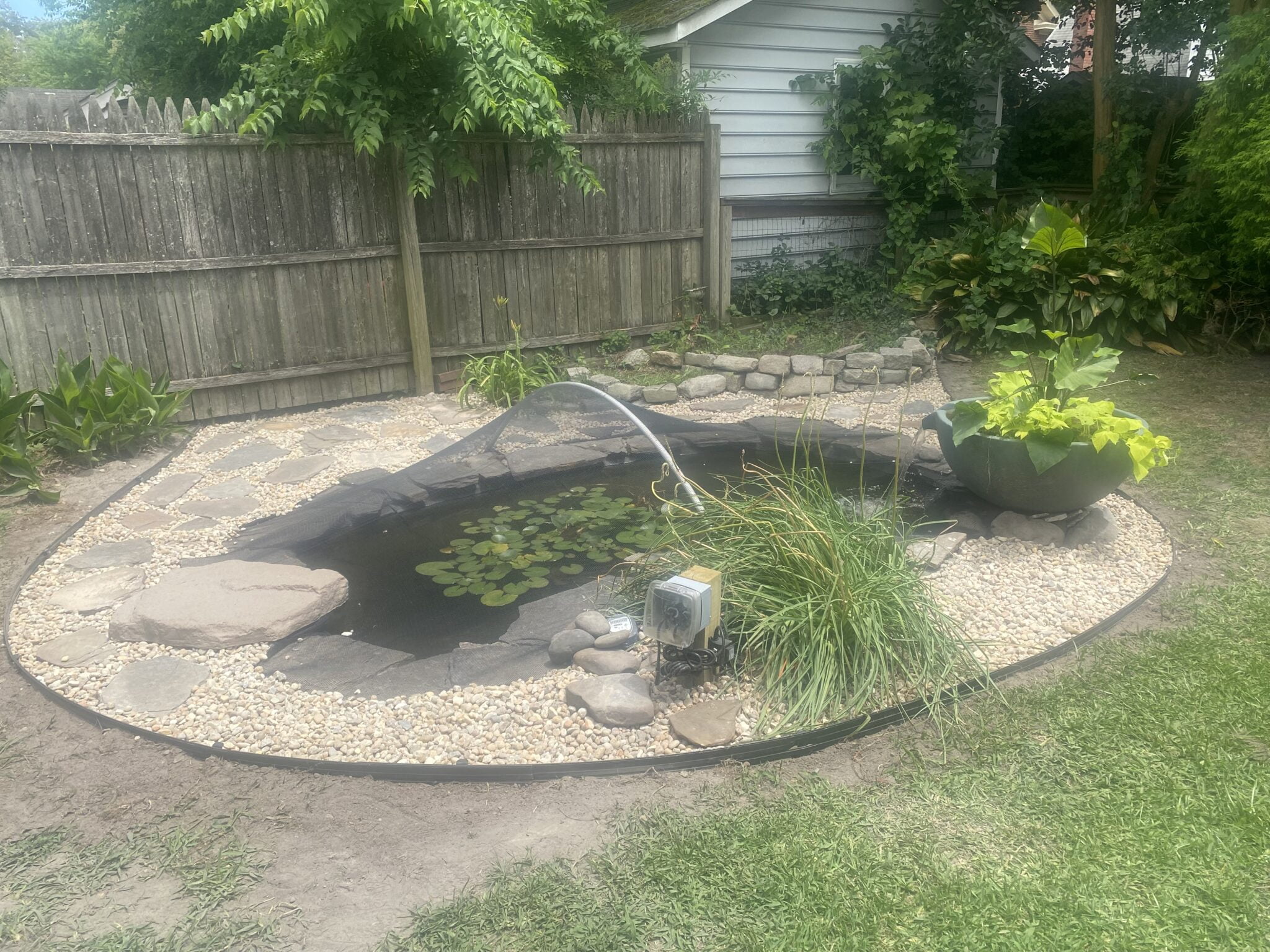 Pond Maintenance Guide | Pond Repair & Cleaning