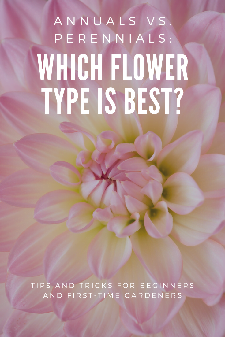 Which Flower Type is Best for Hampton Roads?